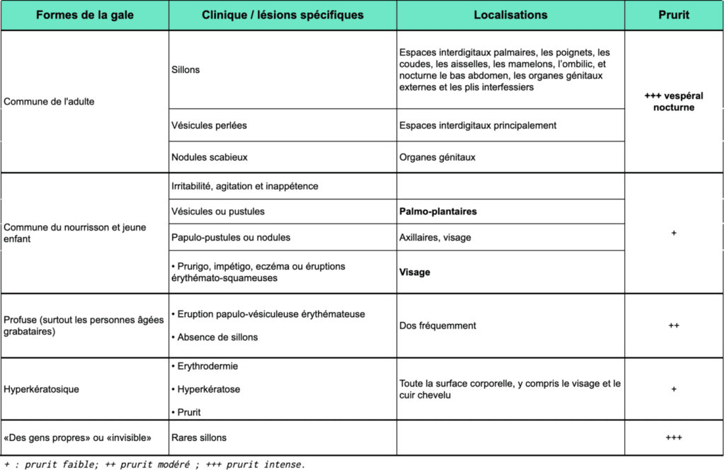 La gale : symptômes, durée, causes... comprendre la maladie
