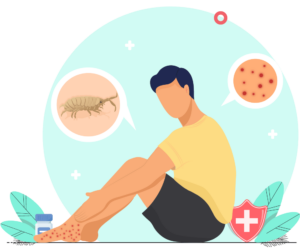 Puce de sable ou puce de mer : pourquoi piquent-elles