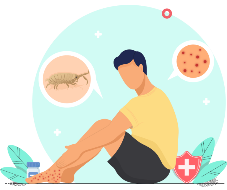 Puce de sable ou puce de mer : pourquoi piquent-elles