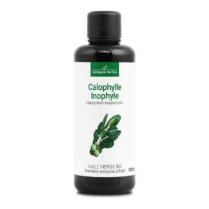 Huile de calophylle : quels sont les bienfaits ? Comment l'utiliser